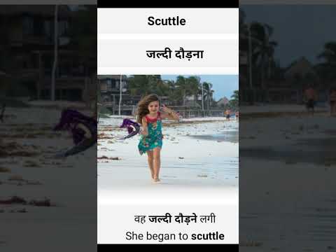 new vocab #scuttle #scuttle meaning in Hindi #shorts #yt shorts 🥰