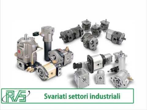 RVS srl TORINO (Torino)