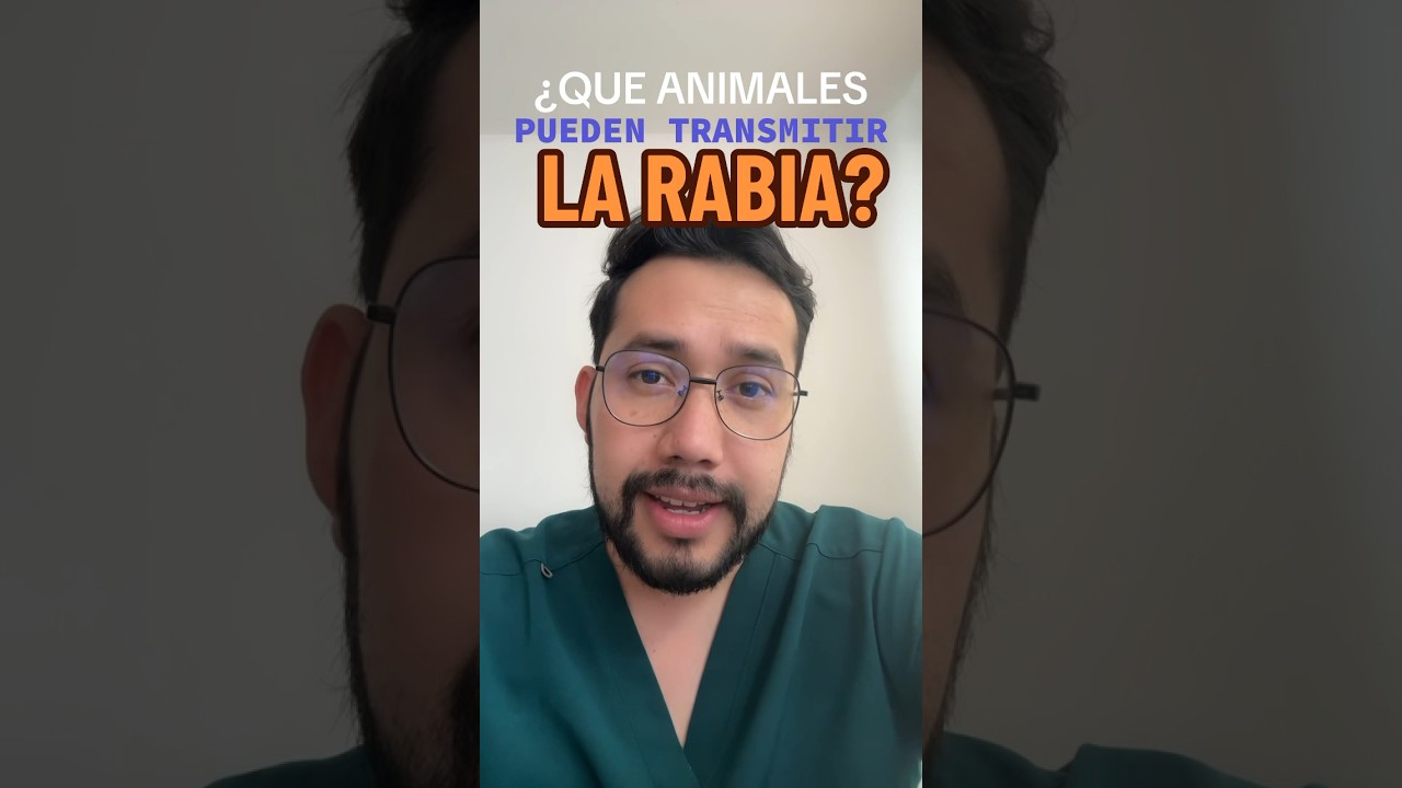 Which animals transmit rabies? How do they do it? #internist #medicine #doctor #nursing #rabies