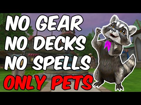 Can You Beat Wizard101 as a PET?