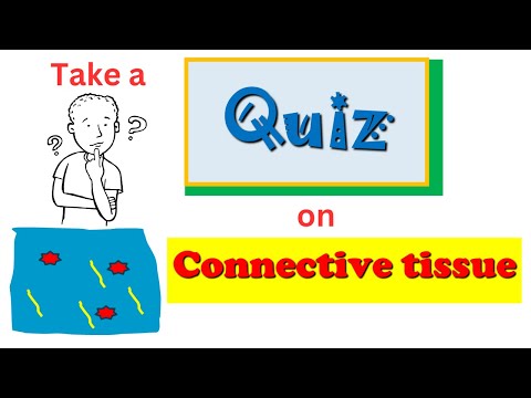 Quiz on connective tissue