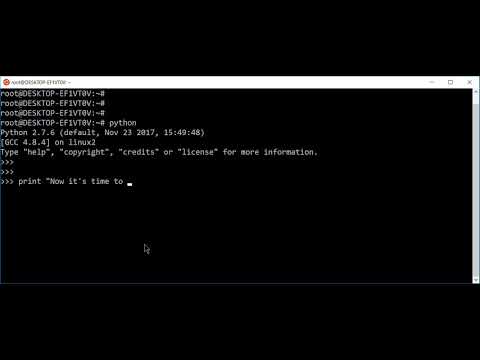 Start Python REPL