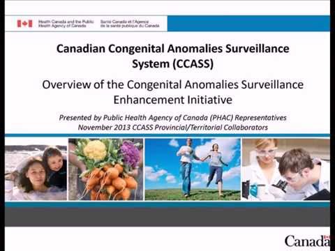 Birth Outcomes: Congenital Anomaly Collection, Data Quality and Surveillance Initiatives