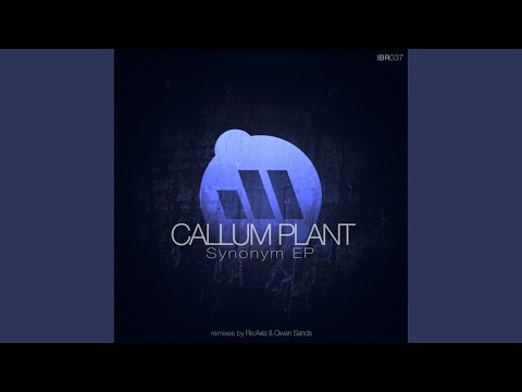 Synonym (Re:Axis Remix)