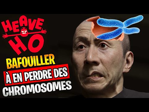 Steam Community :: Video :: Bafouiller à en perdre des chromosomes ...