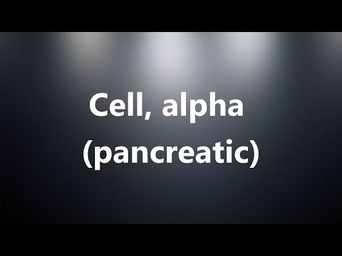 Cell, alpha (pancreatic) - Medical Meaning and Pronunciation