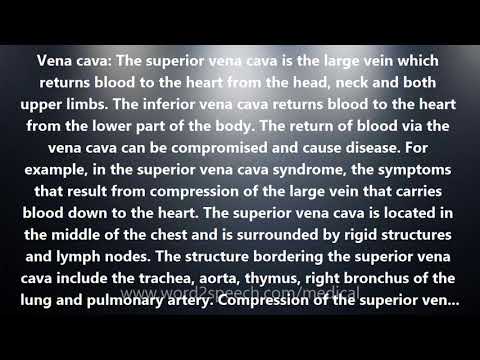 Vena cava - Medical Definition and Pronunciation