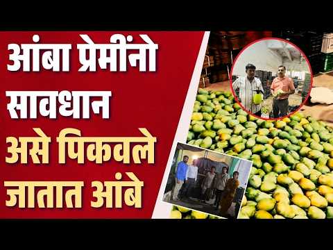 Varmala Storage Ideas : लग्नाची वरमाला फेकू नका! ‘या’ ट्रिकने बनवा ...