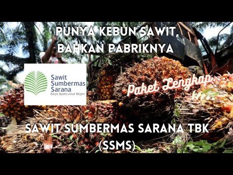 Sawit Sumbermas Sarana Tbk saham SSMS PER oke