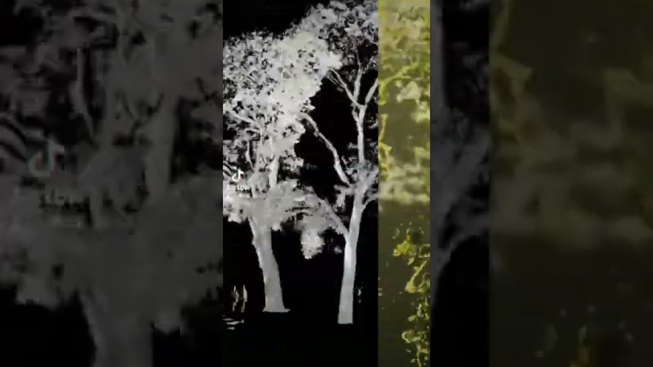 Cool effect with pointcloud! #houdini #houdinifx #sidefx #cgi #pointcloud #particles