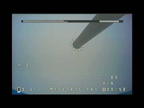 Rotor Riot Rampage 2024 Analog Trippy Dive