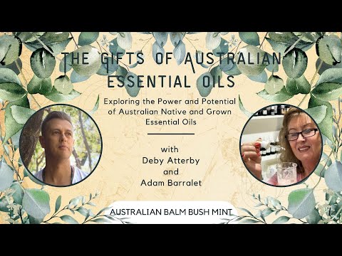 Australian Balm Mint Bush