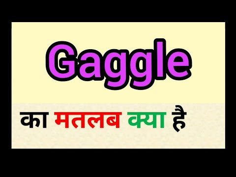 Gaggle meaning in hindi || gaggle ka matlab kya hota hai || word meaning english to hindi