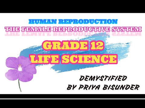 Life Science – Grade 12: The Structure and Function of Female ...