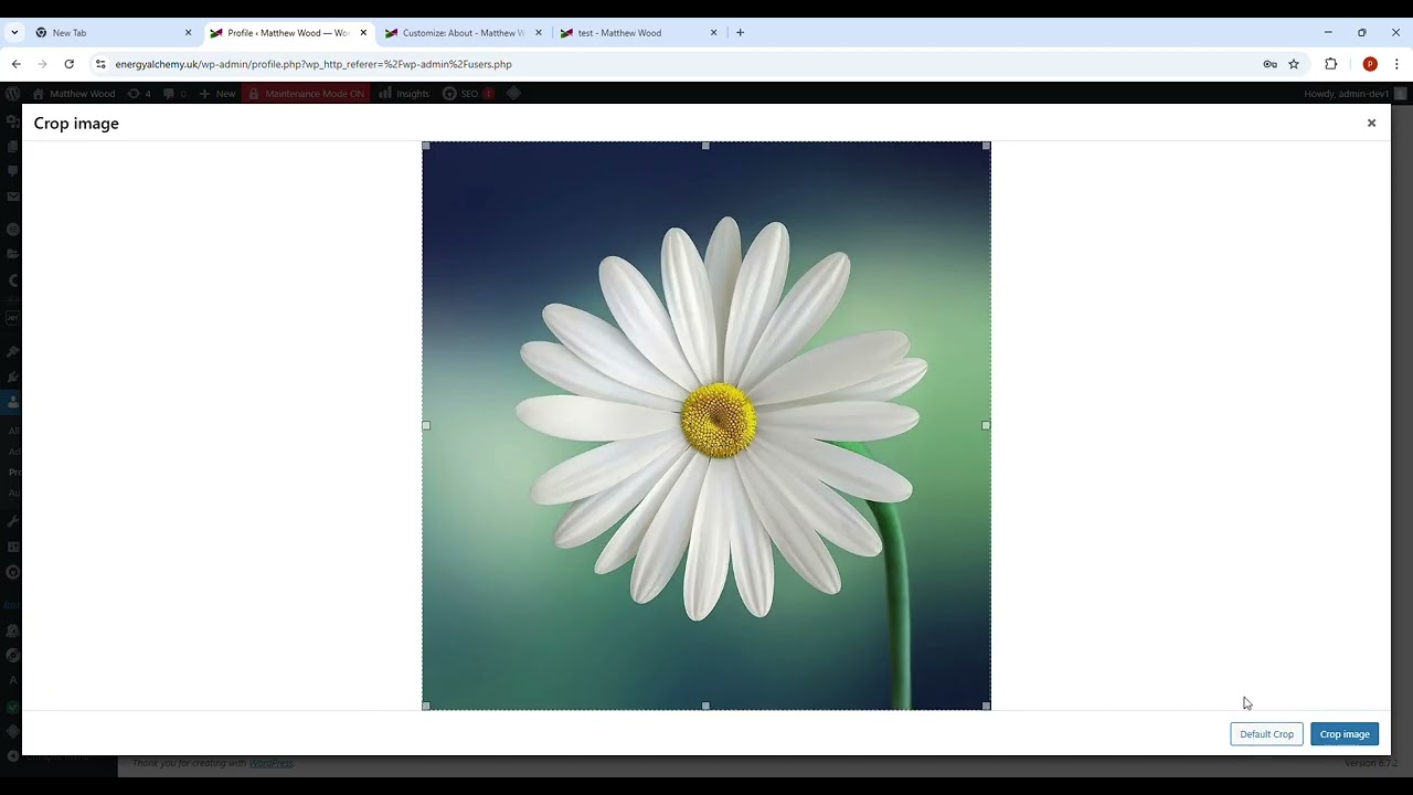 Simple Local Avatars How to Change WordPress Profile Pictures Easily