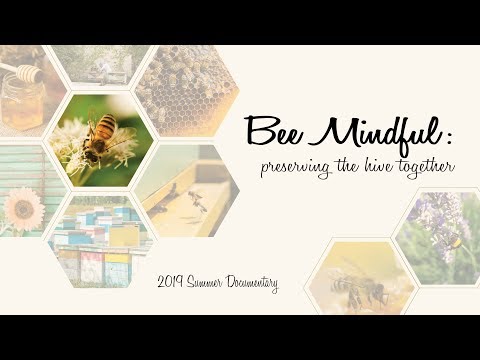Bee Mindful: preserving the hive together (Director's Cut) | 2019 Summer Youth Documentary