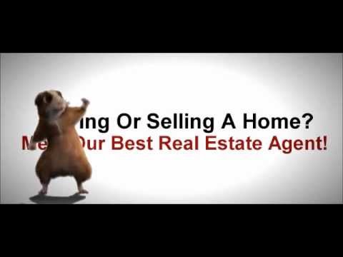 BEST Melbourne Luxury Real Estate Listing Agents Realtors Brokers Waterfront Realty Specialists