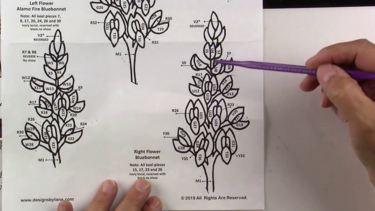 Welcome 2 Texas - Building Bluebonnets