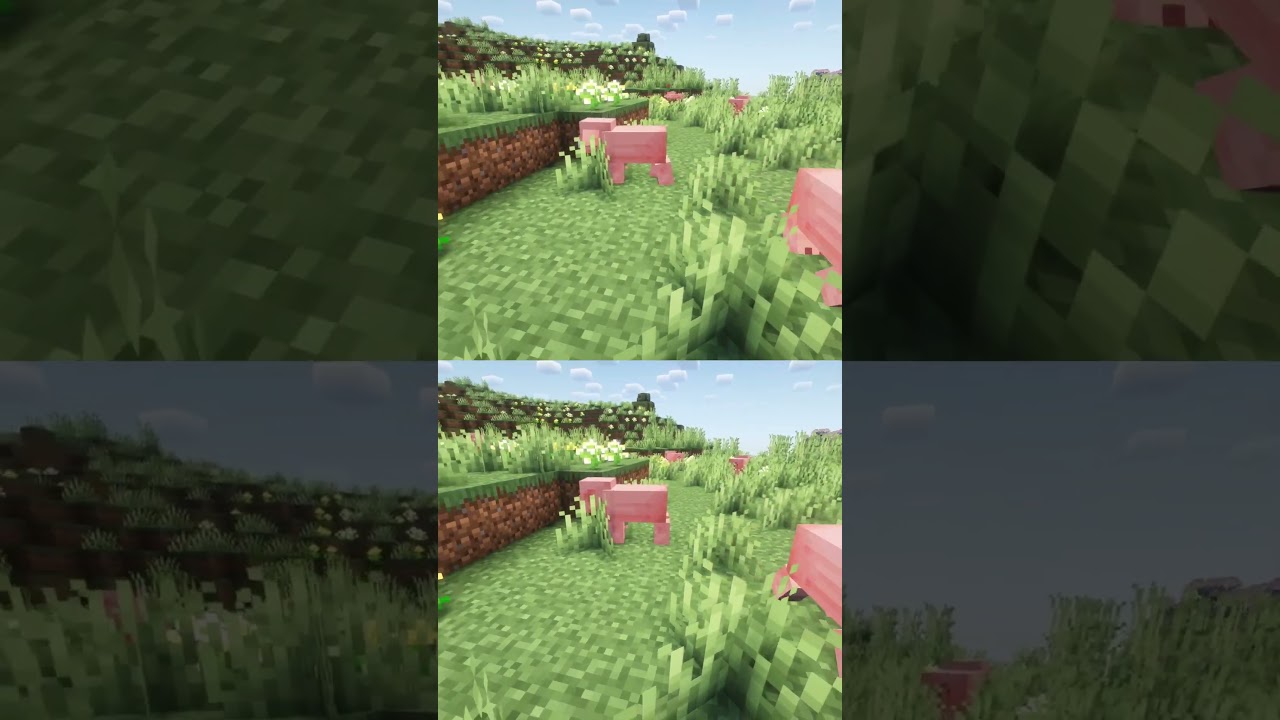 Spot The Difference | WHO LET THE PIGS OUT?  #minecraft  #shortsvideo #mcyt