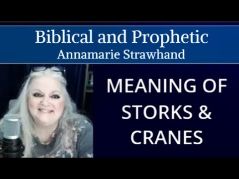 Biblical and Prophetic Meaning of Storks and Cranes