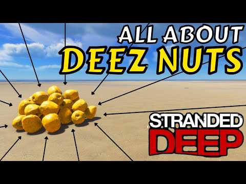 Steam Community :: Stranded Deep