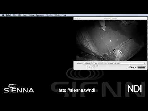 Sienna ND ScanConverter