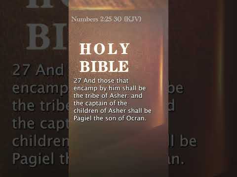 Numbers 2:25-30 (KJV)