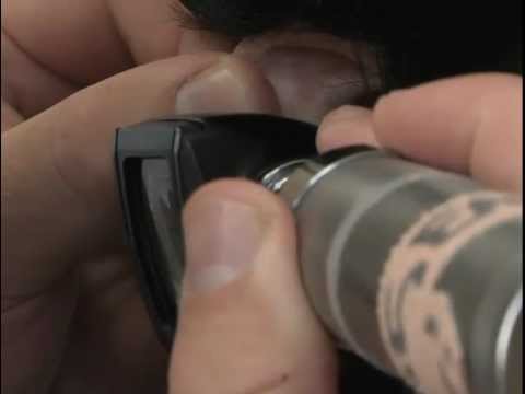 Primal Pictures - ENT Examination of the Ear