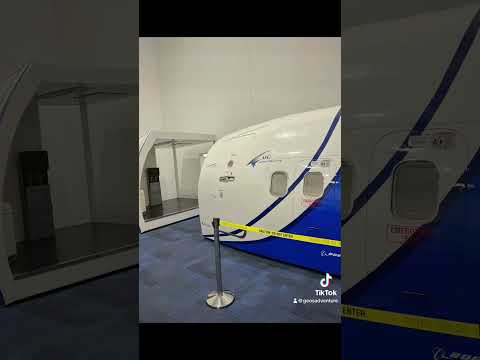 National Aviation Day #envoy #flightsimulator #aviation #embraer #americanairlines #flightsim