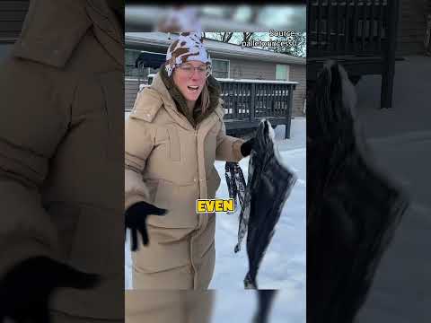 Can You Dry Clothes in Subzero Temperatures?