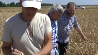 Сайт группы компаний Биоцентр. Технологии беспахатного земледелия, No ...