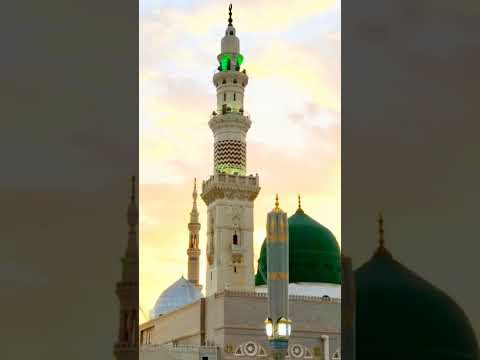 Qalbi Fil Madinah
