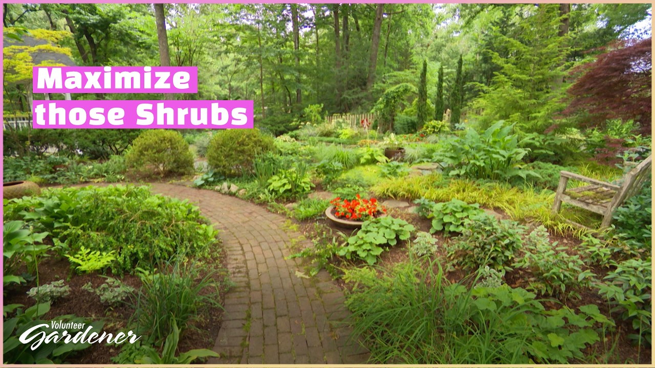 Prune by mid-June | Volunteer Gardener
