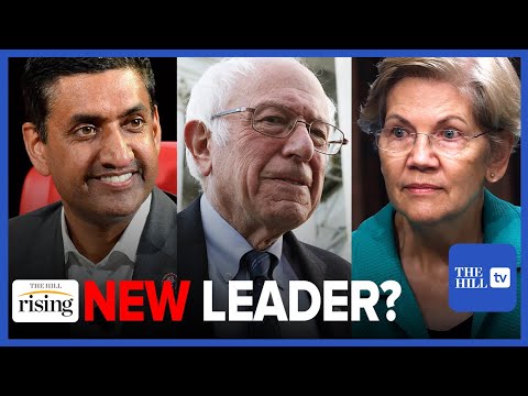 Hanna Trudo: Progressives Looking For NEW Leaders To Pick Up Sanders-Warren Mantle