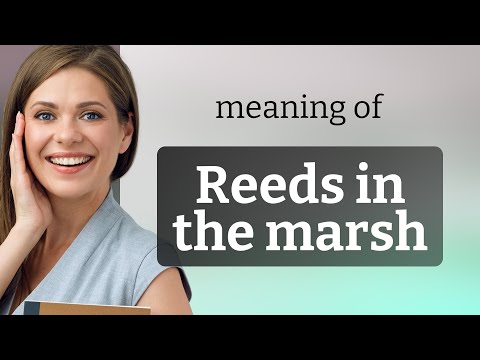 Understanding "Reeds in the Marsh": A Deep Dive into Figurative Language