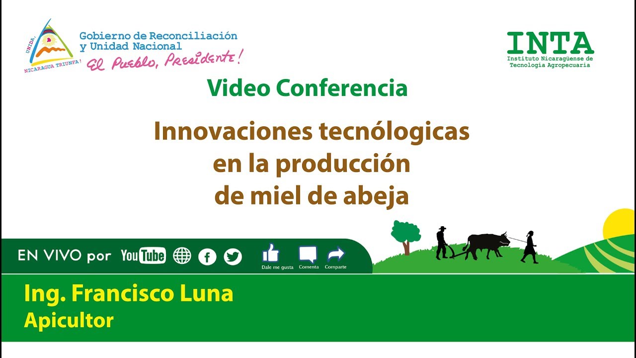 Innovaciones en la producción de miel de abeja