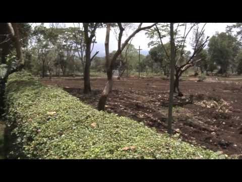 Square Feet - MMM #1