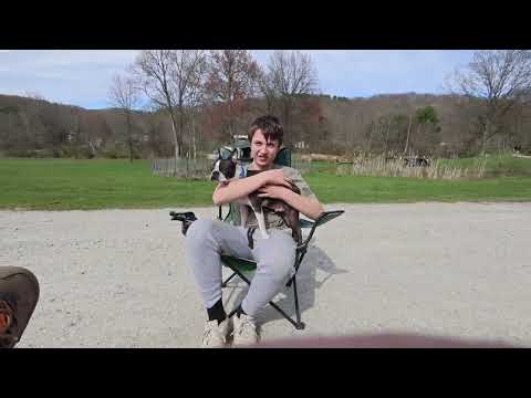 Introducing Billy's New YouTube Channel