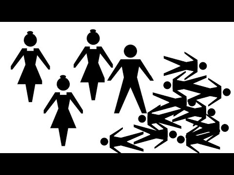 Sex power - why women were different and men were expendable