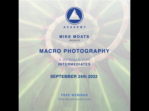 Macro Photography by Mike Moats