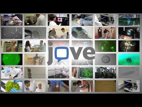 How to Create a JoVE Test