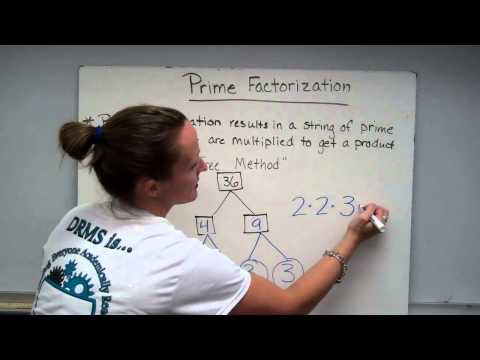 Prime factorization