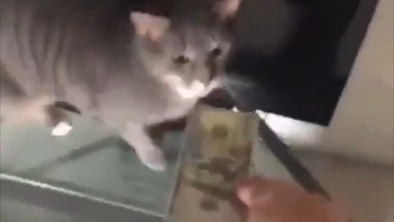 UNUSUAL MEMES COMPILATION V122