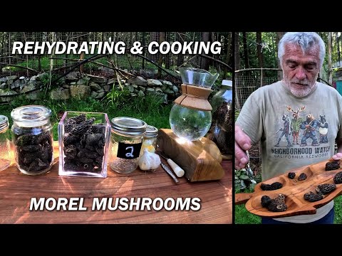Rehydrating and Cooking Morel Mushrooms Three Different Ways