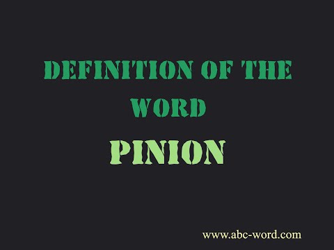 Definition of the word "Pinion"