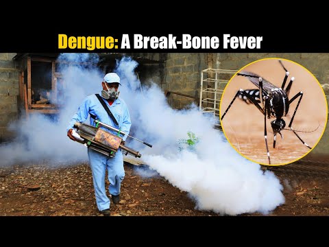 Dengue (Dengue Fever): A Documentary On Causes to Cures, and Preventive Measures