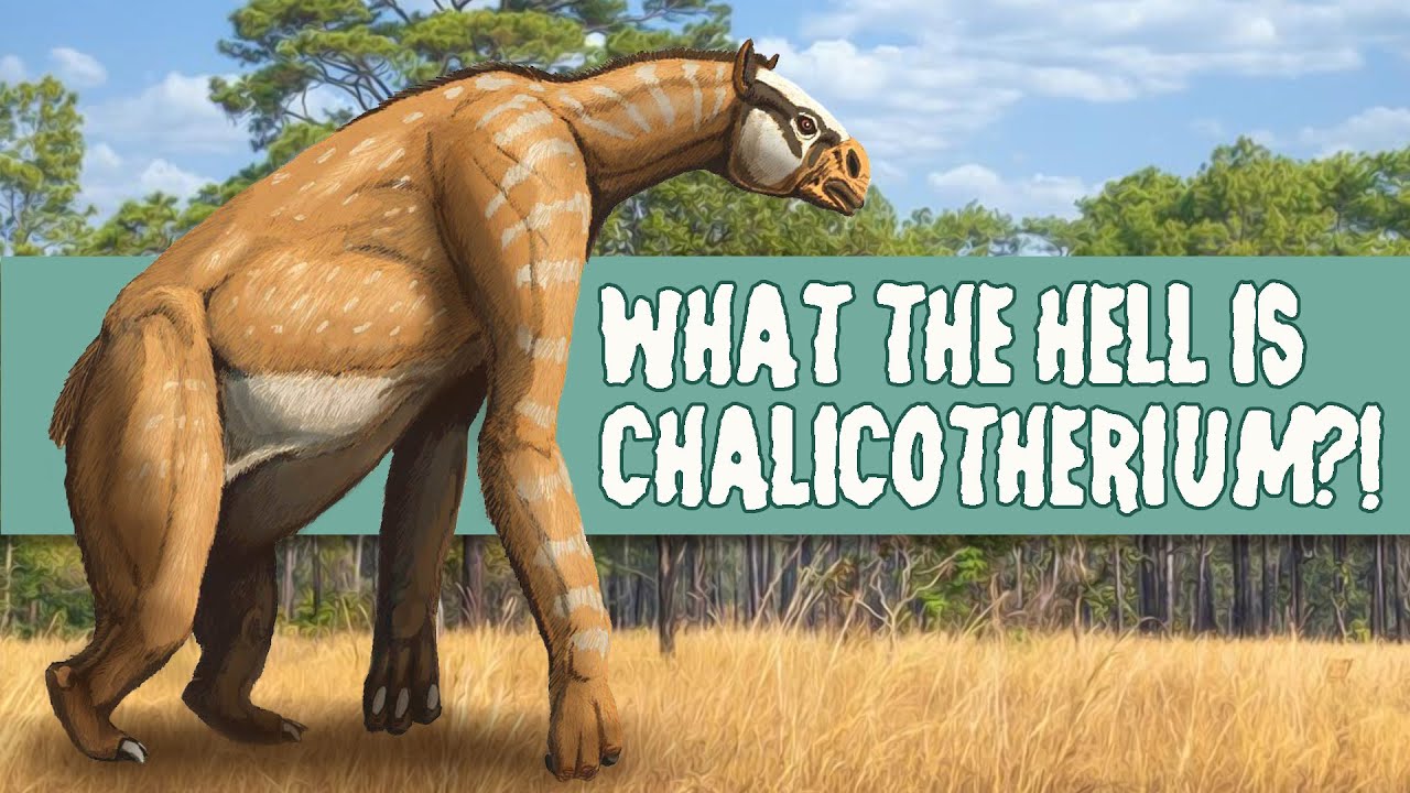 What the Hell is Chalicotherium?!