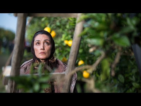 ORANGE DAYS (Trailer)