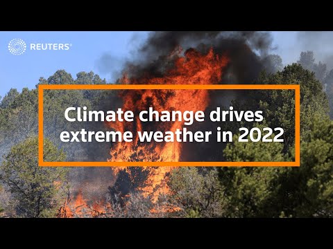 How climate change is driving extreme weather in 2022