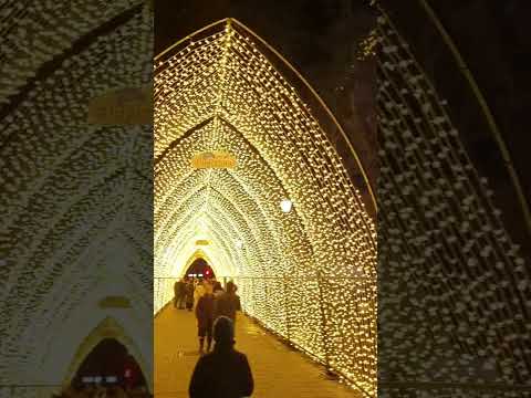 Christmas in Oslo 2022 Norway